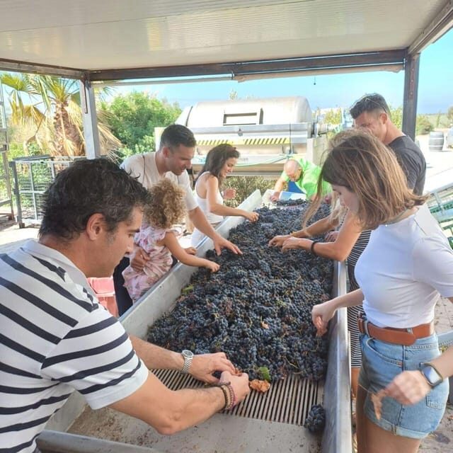 Cadiz: Countryside Finca Ecological Wine Tasting - The Sum Up: Who Will Love This Experience?