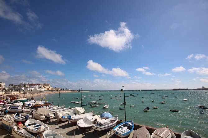 Cadiz Like a Local: Customized Private Tour - Discovering Cádiz