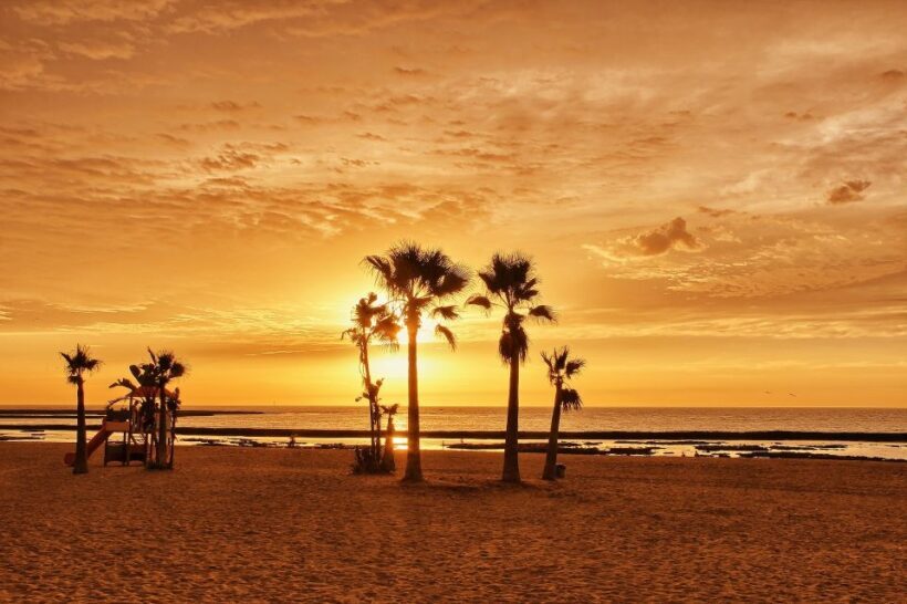 Cadiz: Private Tour with a Local - What to Expect During Your Tour