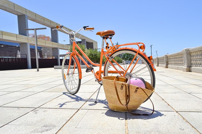 Cadiz Small Group Bike Tour - Customer Reviews and Feedback