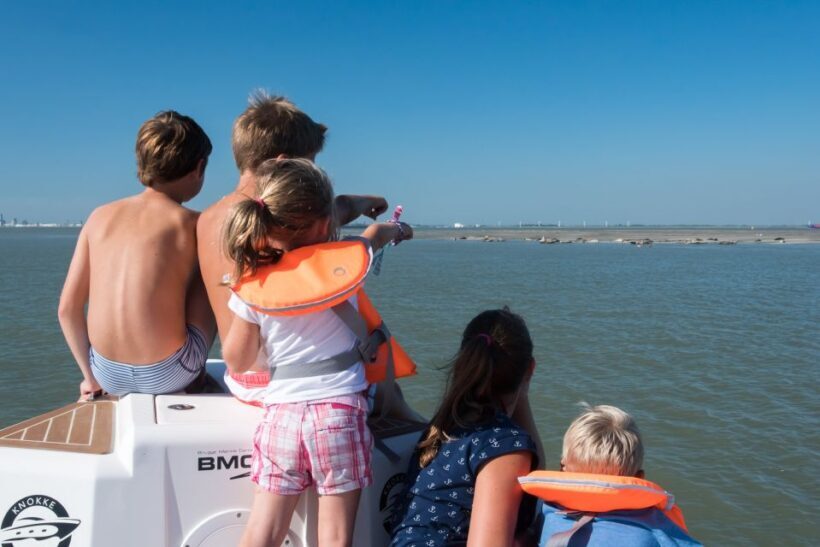 Cadzand: Seal Discovery Boat Tour with Glass of Champagne - Final Thoughts