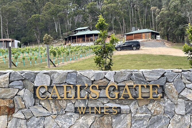 Cael's Gate Wine and Ploughmans Lunch in Hunter Valley - A Detailed Look at Cael’s Gate Wine and Ploughmans Lunch