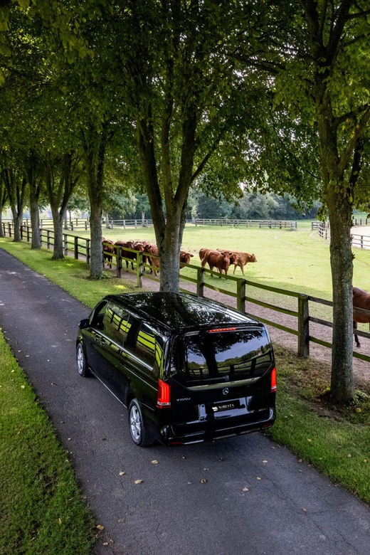 Caen: Guided Tour of Caen and Bayeux - The Experience: What Past Travelers Say