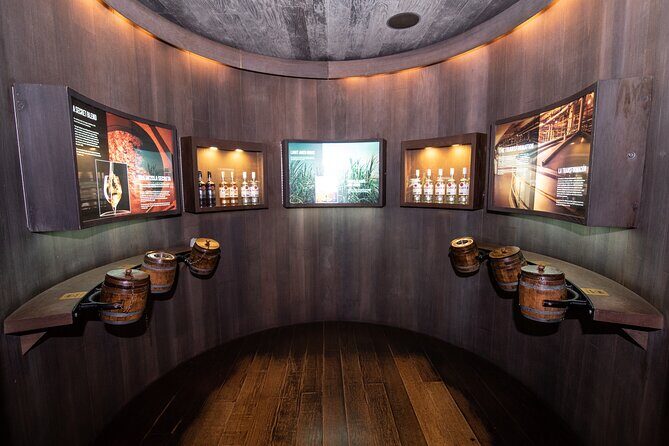 Cafe y Ron: Bad Bunny Inspired Local Full Day Tour from San Juan - The Sum Up: Who Will Appreciate This Tour?