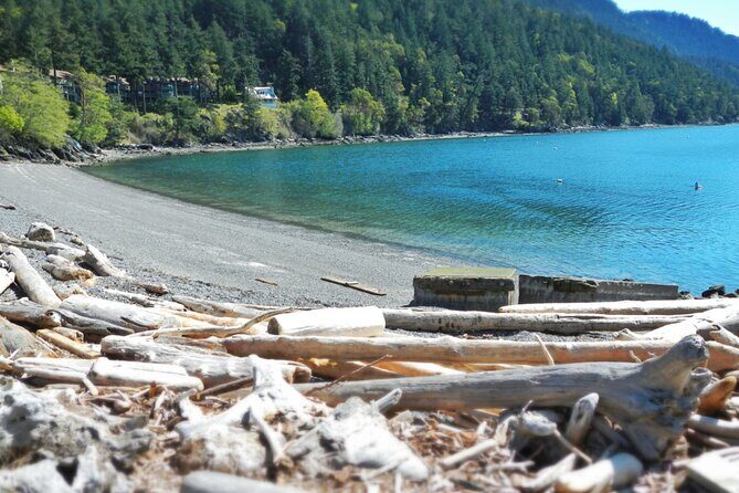 Cafes and Kayaks: Full Day Kayaking Adventure on Orcas Island - A Closer Look at the Full-Day Kayaking Experience