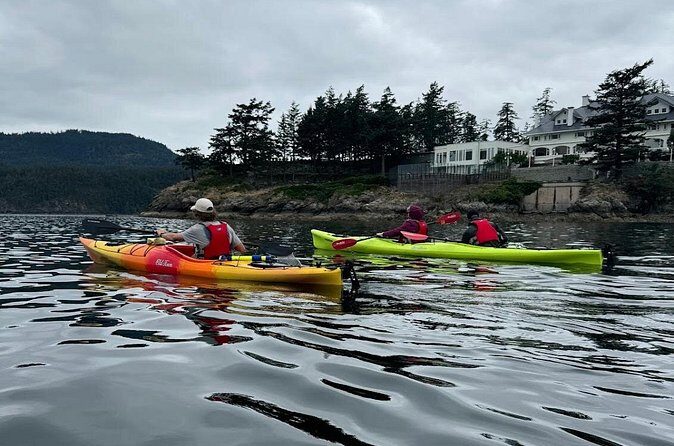 Cafes and Kayaks: Full Day Kayaking Adventure on Orcas Island - Why Choose This Tour?