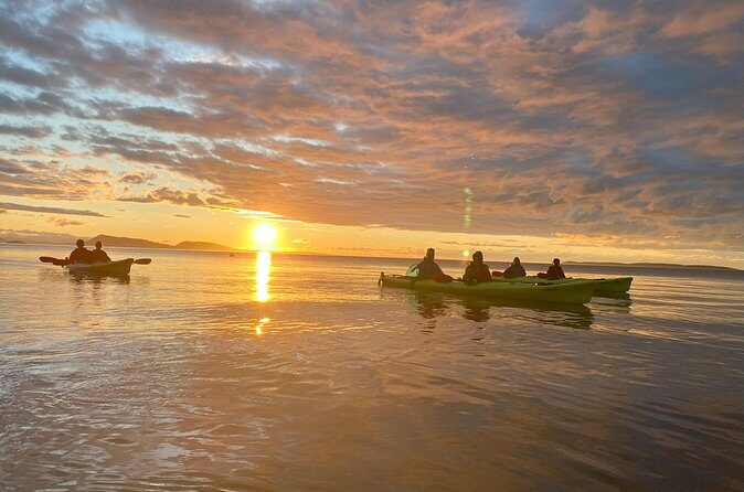 Cafes and Kayaks: Full Day Kayaking Adventure on Orcas Island - Final Thoughts: Who Is This Tour Best For?