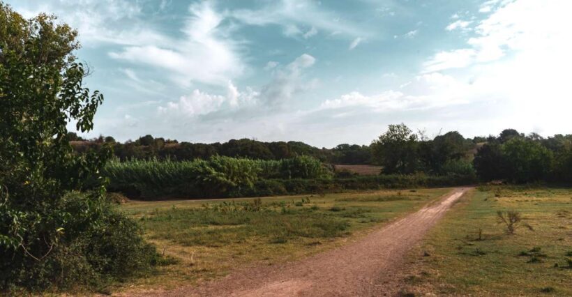 Caffarella Park: Rome's Secret Urban Hiking Paradise - Who Should Consider This Tour?