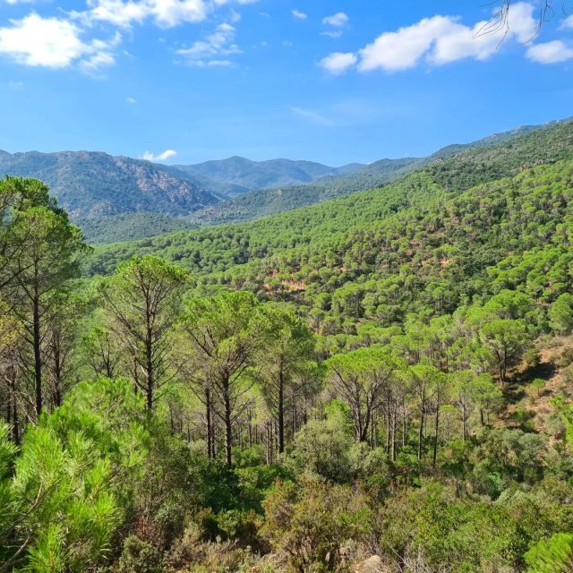 Cagliari: Amazing Sulcis Jeep Experience from Iglesias - Analyzing the Value