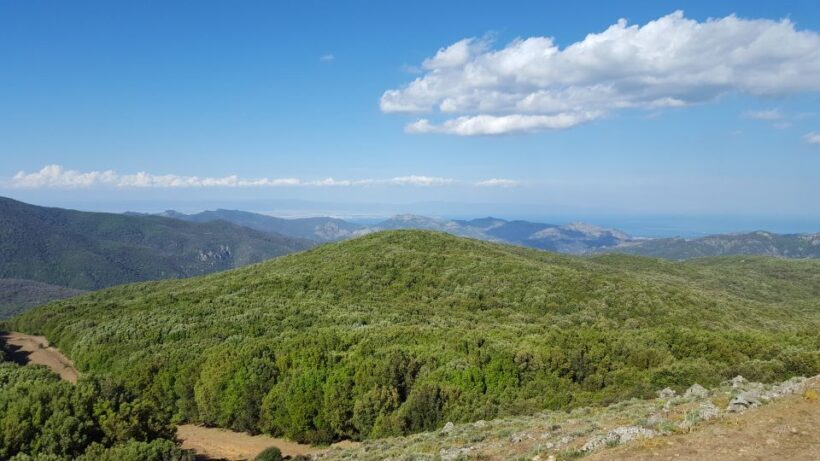 Cagliari: Amazing Sulcis Jeep Experience from Iglesias - Final Thoughts