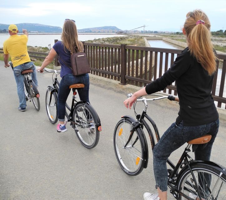 Cagliari: Bike Tour in the Flamingo Oasis - Who Should Consider This Tour?