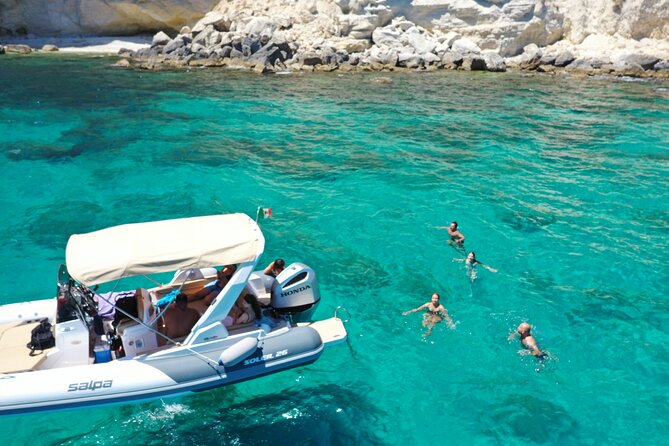 Cagliari Boat Tour 4 Stops .Possible Sighting of Dolphins - Water & Wildlife: What to Expect