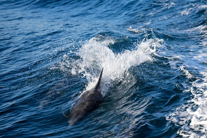Cagliari: Boat Tour With Swim Stops, Snorkeling & Prosecco - Relaxed Atmosphere and Prosecco Sipping
