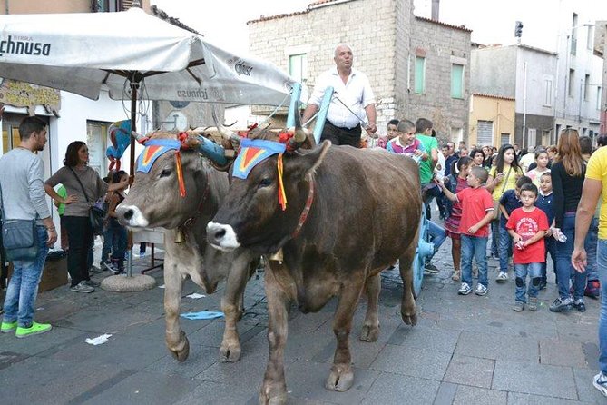 Cagliari: Discovering the heart of Sardinia - Key Points