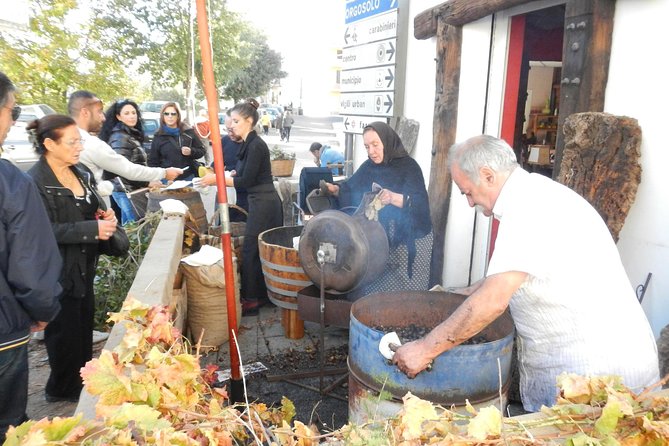 Cagliari: Discovering the heart of Sardinia - The Itinerary: What You’ll Actually Do