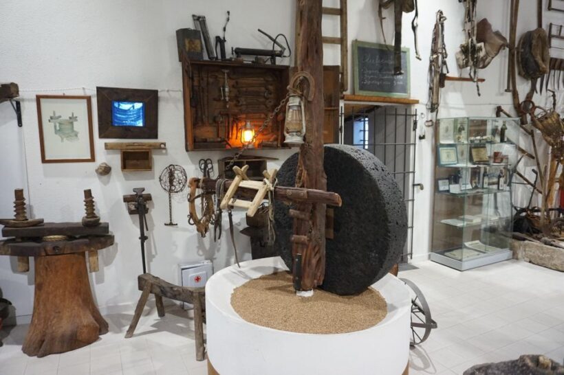 Cagliari: Exclusive Extra Virgin Olive Oil Tour at Museum - Key Points