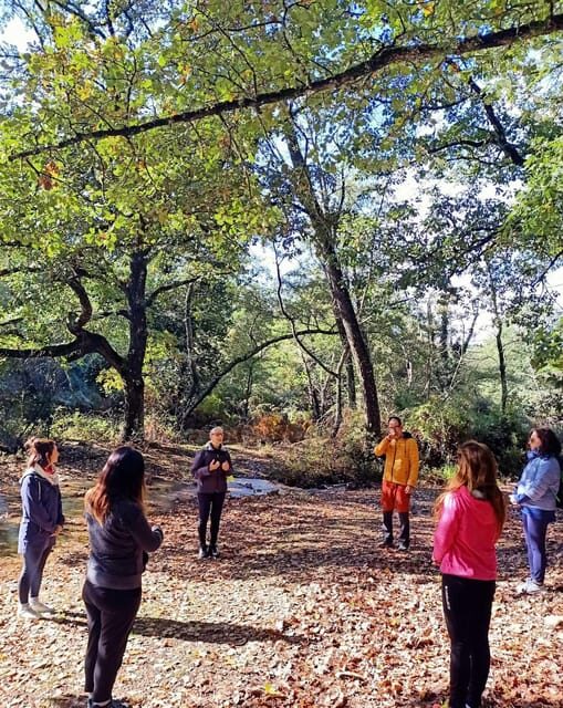 Cagliari: forest bathing at Sette Fratelli Park - Key Points
