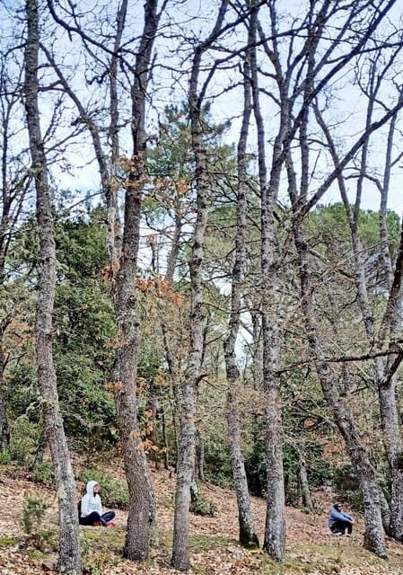 Cagliari: forest bathing at Sette Fratelli Park - FAQ