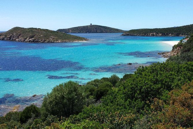 Cagliari: Full-Day Private Tour of Sardinia's Hidden Beaches from Chia - Key Points