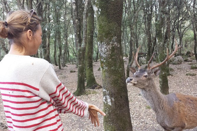 Cagliari: Is Cannoneris Nature Reserve Jeep and Walking Private Tour from Chia - Key Points