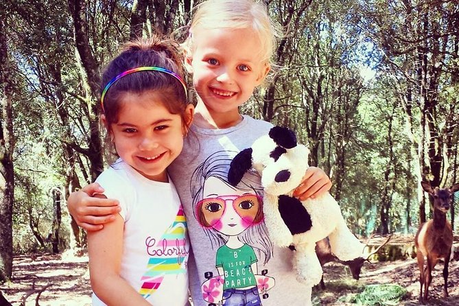 Cagliari: Is Cannoneris Nature Reserve Jeep and Walking Private Tour from Chia - Final Thoughts: Is This Tour Right for You?