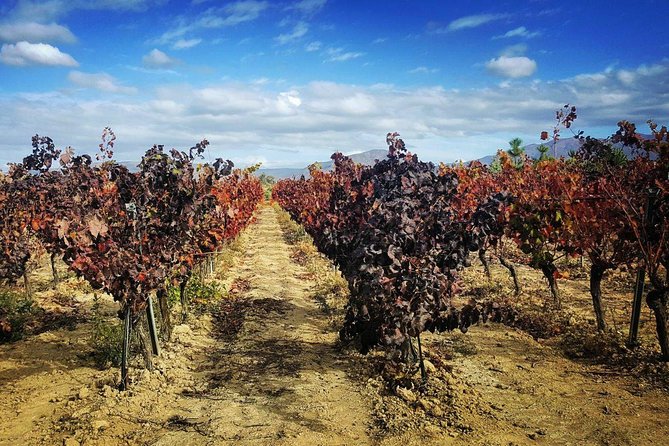 Cagliari Private Shore Excursion: Wine and Cheese Tasting - Practical Details and Logistics