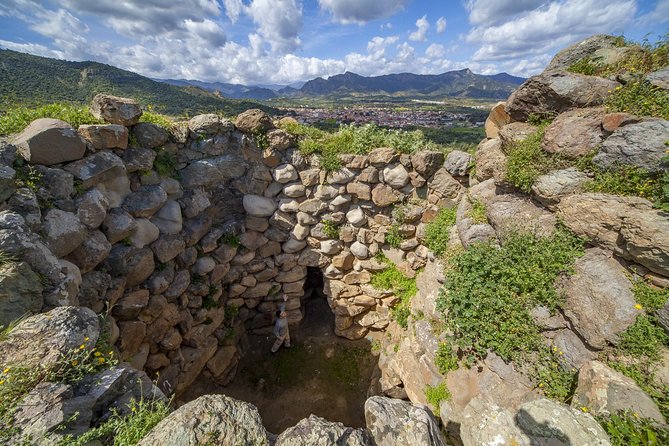 Cagliari Shore Excursion: Archaeological Nuraghe and Nora Tour - Analyzing the Cost and Value