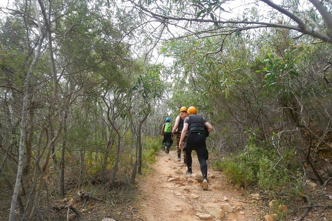 Cagliari Shore Excursion: Professional Guided Coasteering - The Sum Up