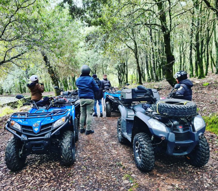 Cagliari: Waterfalls Quad-ATV Adventure from Domus de Maria - Who Will Love This Tour?