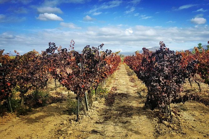 Cagliari: Wine and Cheese Tasting Private Experience - Transportation and Group Size