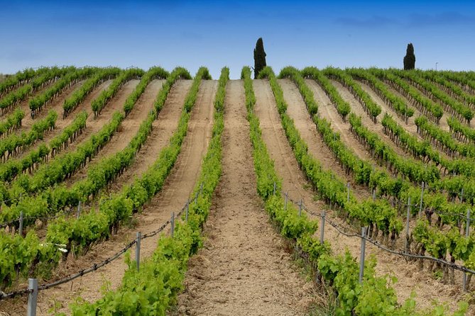 Cagliari: Wine and Cheese Tasting Private Experience - FAQs