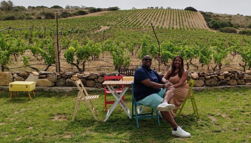 Cagliari: Wine and Olive oil Experience + Oil Mill Museum - A Deep Dive into the Experience