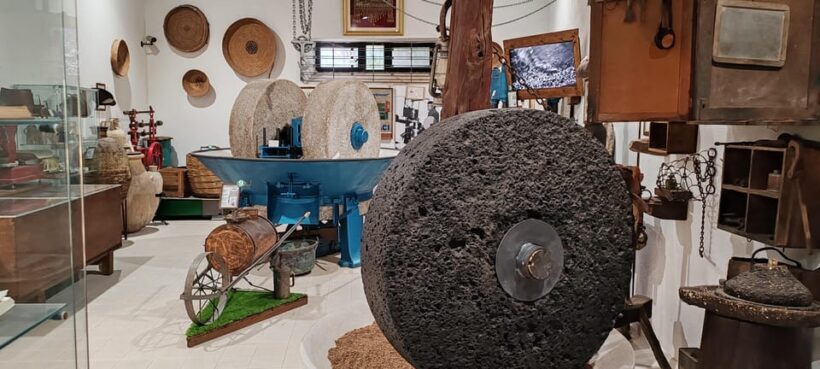 Cagliari: Wine and Olive oil Experience + Oil Mill Museum - FAQ