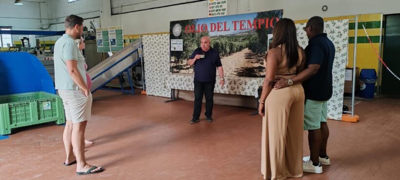 Cagliari: Wine and Olive oil Experience + Oil Mill Museum - Final Thoughts