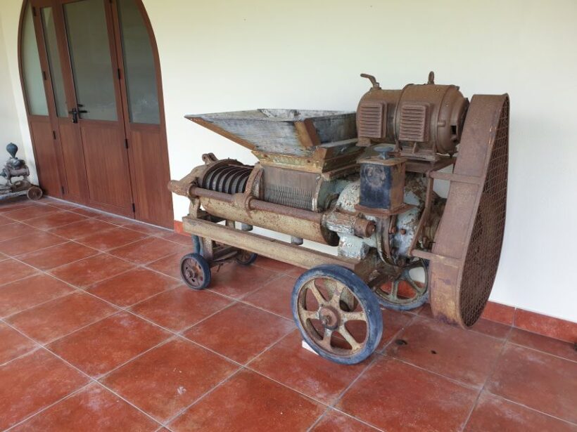 Cagliari: Wine, Cheese and Olive Oil Tasting Experience - The Sum Up