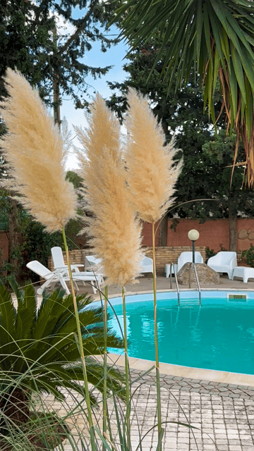 Cagliari: Workshop di pasta fresca tradizionale sarda - Analyzing the Value