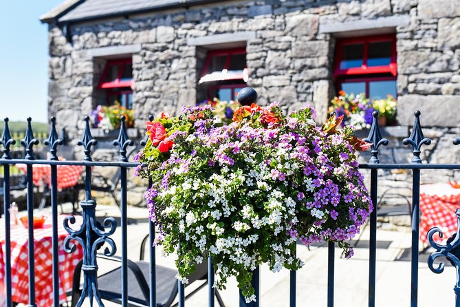 Caherconnell Fort & Sheepdog Demonstrations - Sheepdog Demonstrations: A Highlight for All Ages