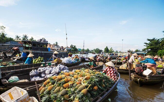Cai Be Floating Market and Vinh Long City Day Trip from Saigon - Introduction