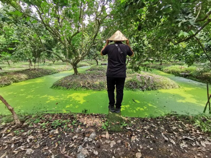 Cai Be: Private Day Tour - The Scenic Boat Cruise into the Mekong