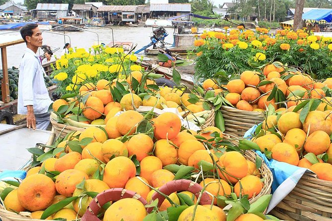 Cai Rang Floating Market & Mekong Delta Private Tour from HCM city - Who Should Consider This Tour?