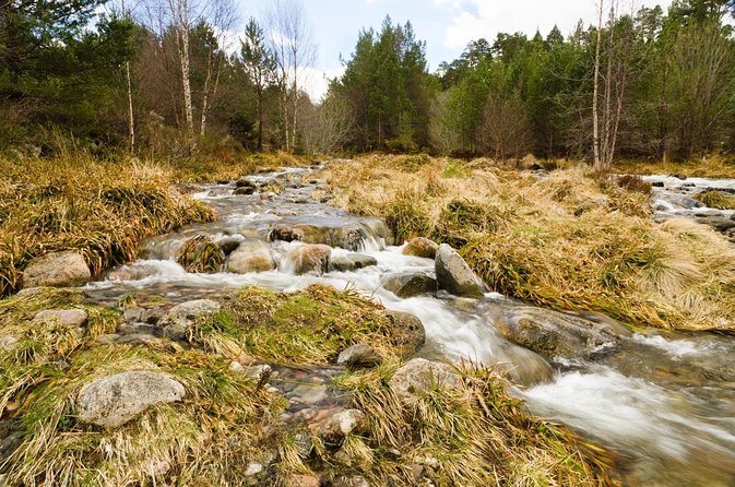 Cairngorms & Whisky Day Tour From Inverness Including Admission - Transportation Details