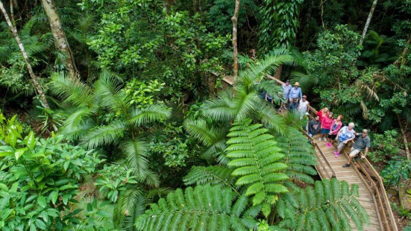 Cairns: 2-Day Great Barrier Reef & Daintree Rainforest Tour - Summing Up: Is This Tour Worth It?