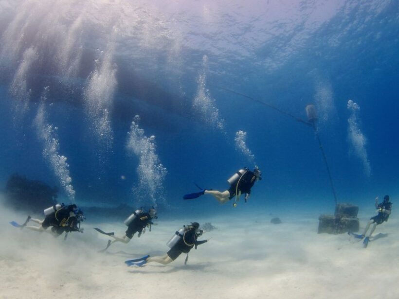 Cairns: 4-Day PADI Open Water Course - The Itinerary and What You Can Expect