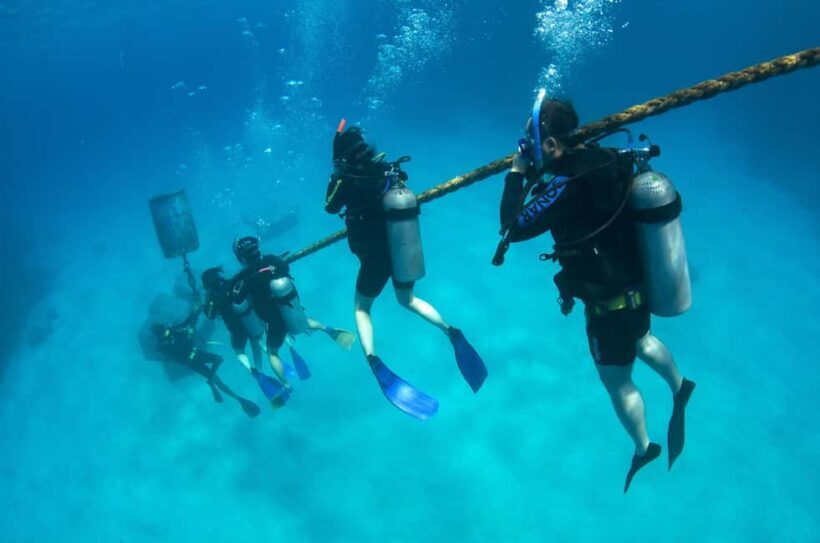 Cairns: 4-Day PADI Open Water Course - The Quality of Guides and Reef Experiences