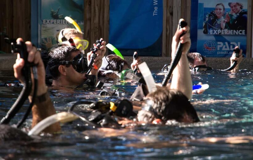 Cairns: 4-Day PADI Open Water Course - Who Will Love This Course?