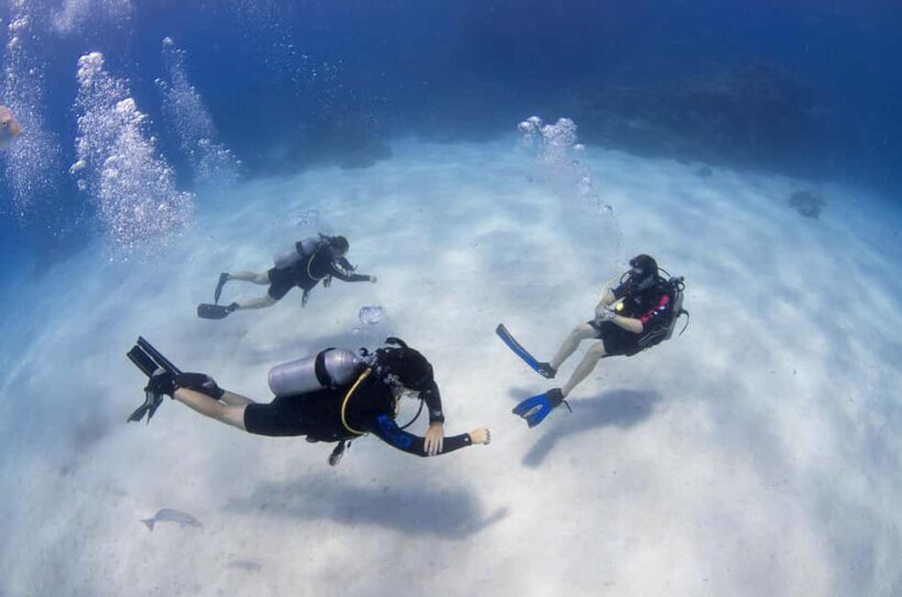 Cairns: 4-Day PADI Open Water Course - FAQ