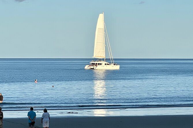 Cairns Airport to Port Douglas Shared Shuttle - An In-Depth Look at the Cairns Airport to Port Douglas Shared Shuttle