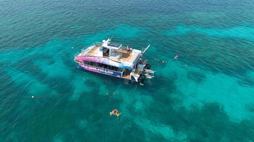 Cairns: All-Inclusive Great Barrier Reef Half-Day Snorkeling - Why This Tour Offers Great Value