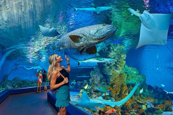 Cairns Aquarium Admission Ticket - Practical Details: Price, Duration, and Booking
