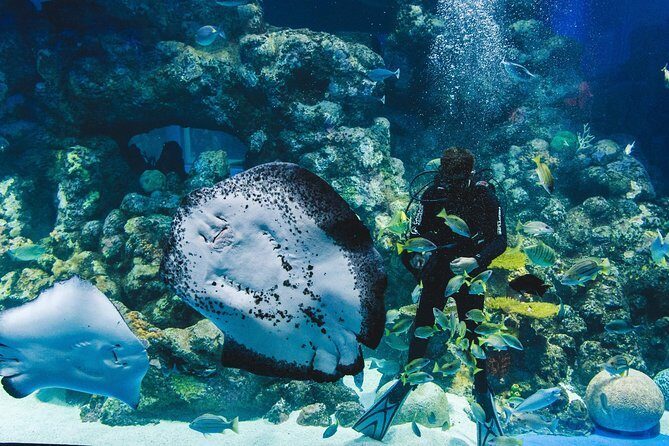 Cairns Aquarium Admission Ticket - FAQ